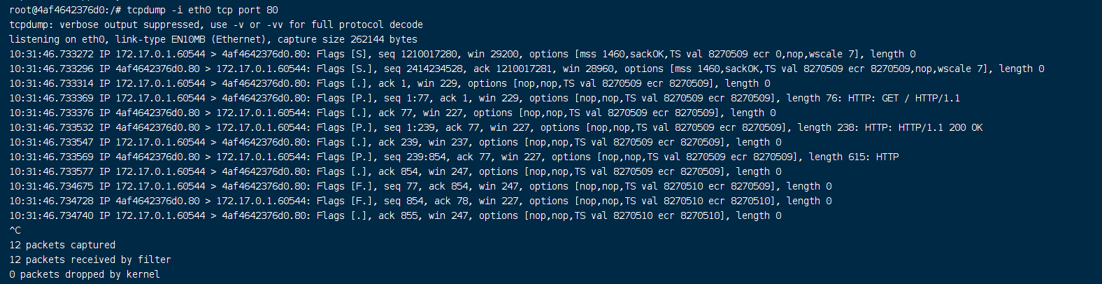 在 Docker 容器中使用 tcpdump 抓包 - klvchen - 博客园