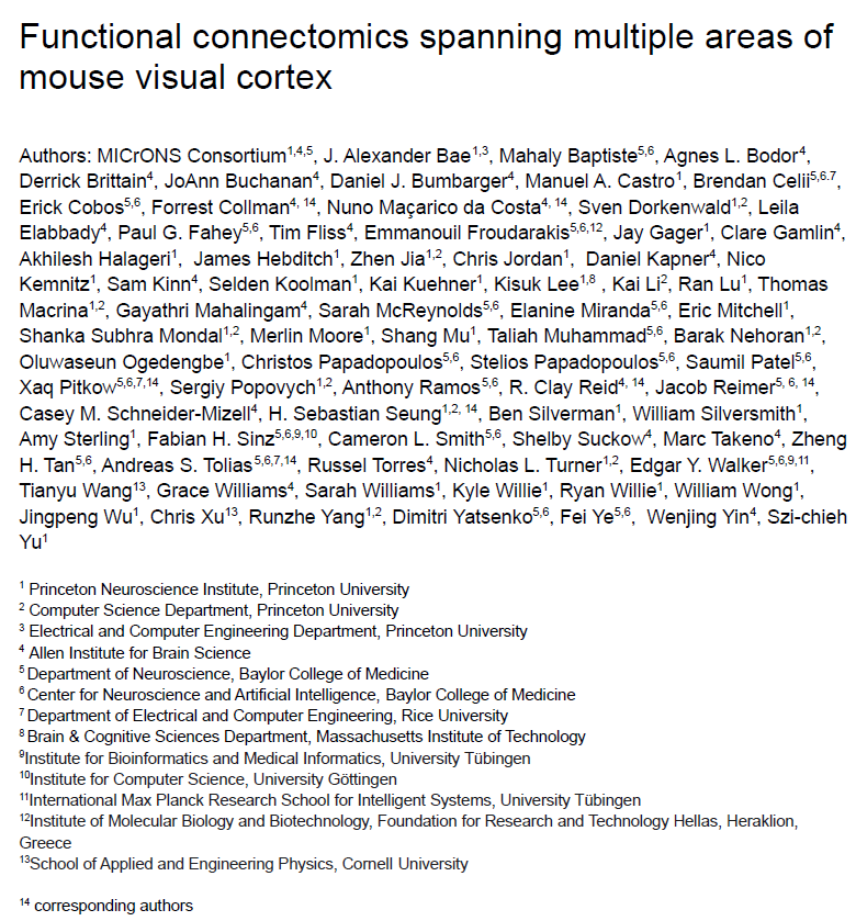 Functional connectomics spanning multiple areas of mouse visual cortex - 穷酸秀才大草包 - 博客园