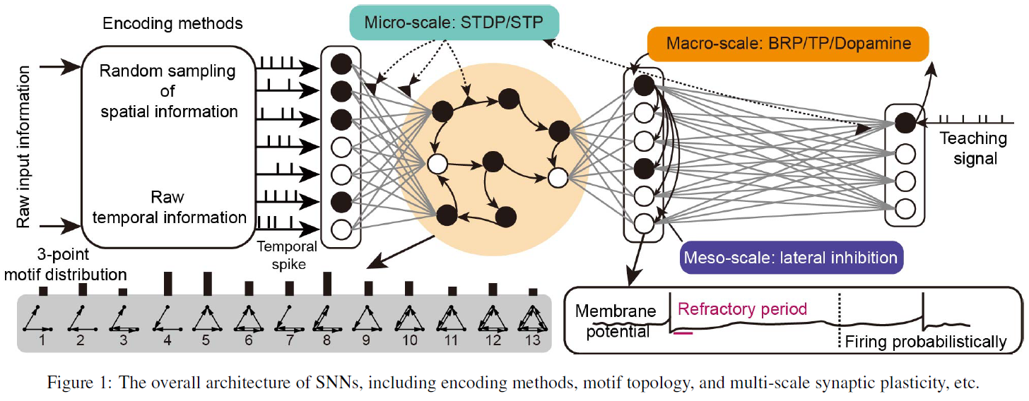 Recent Advances and New Frontiers in Spiking Neural Networks - 穷酸秀才大草包 ...