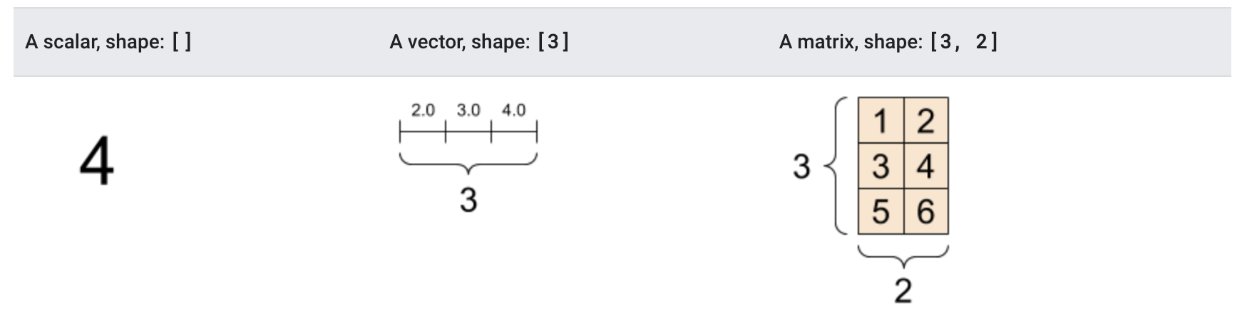 Tensorflow Tensor Variable Asp1rant tensorflow-tensor-variable-asp1rant