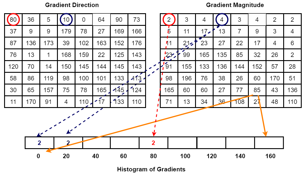 HOG算法以及python实现 - Asp1rant - 博客园