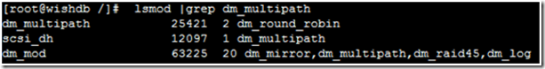 LINUX下多路径（multi-path）介绍及使用 - 熊猫赶月 - 博客园