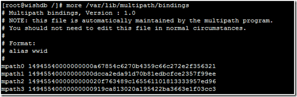 LINUX下多路径（multi-path）介绍及使用 - 熊猫赶月 - 博客园