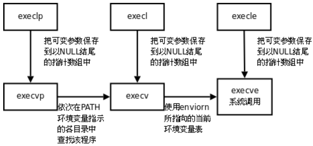 Linux——进程编程（一）进程的创建：fork 、exec - 汇编不会编 - 博客园