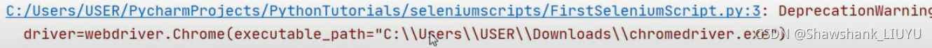 爬虫 解决 Executable Path Has Been Deprecated Please Pass In A Service Object In Selenium Python