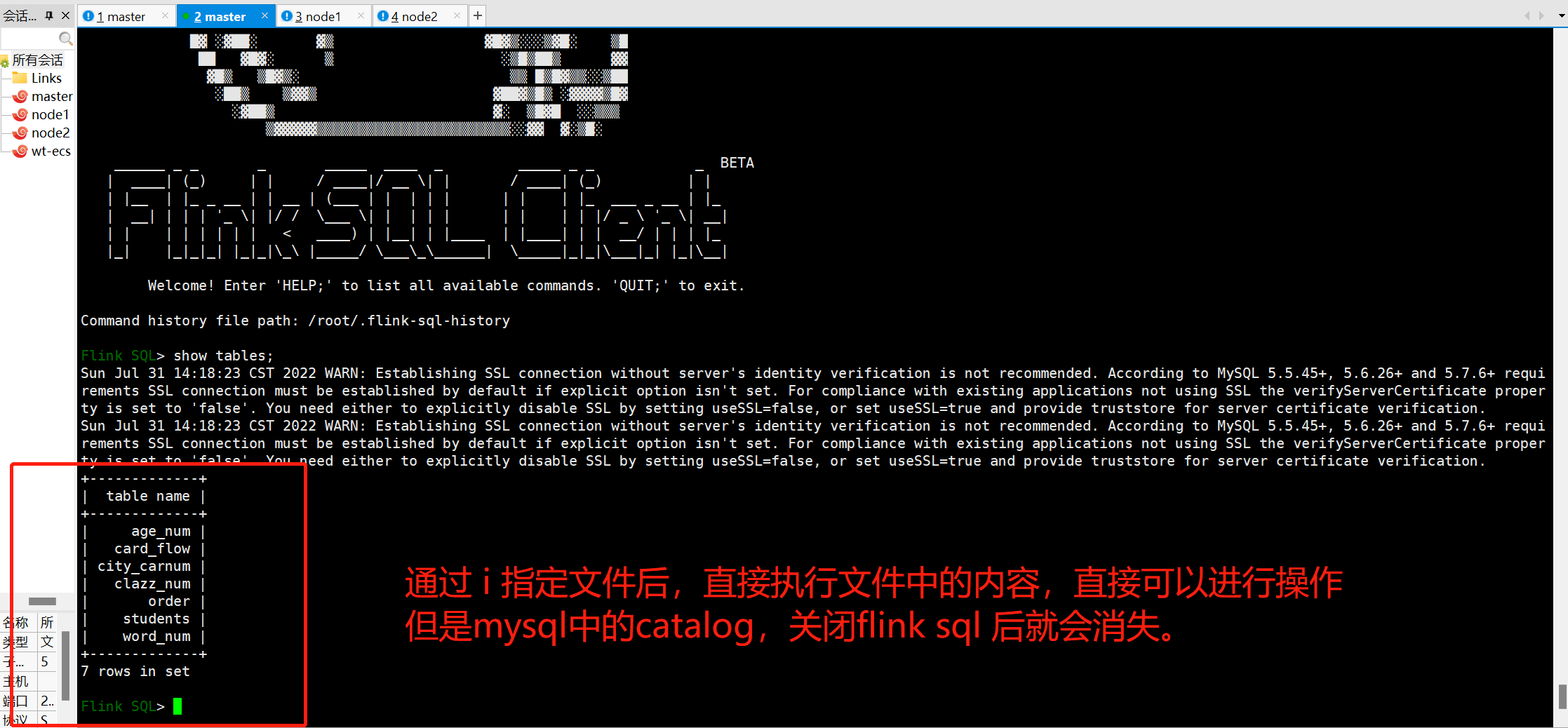 Flink SQl 客户端-Catalog(hive的catalog是重点) - a-tao必须奥利给 - 博客园