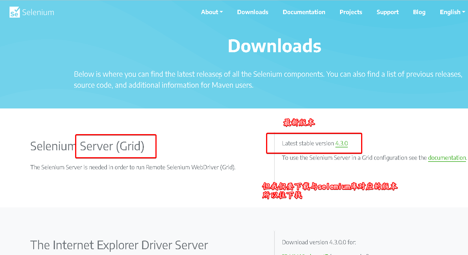 selenium Grid 4.x版本 部署操作 - 南亭*.* - 博客园
