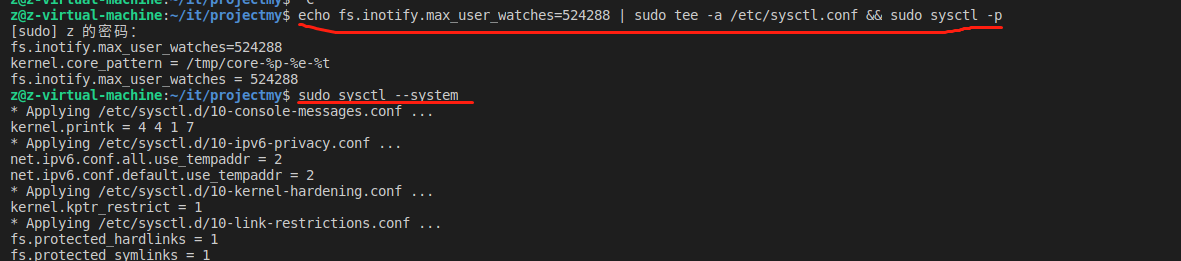 Fatal error: ENOSPC: System limit for number of file watchers reached, watch '...path ...