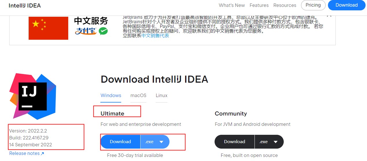 IntelliJ IDEA2022破解IDEA2022.2永久破解激活教程-阿里云开发者社区